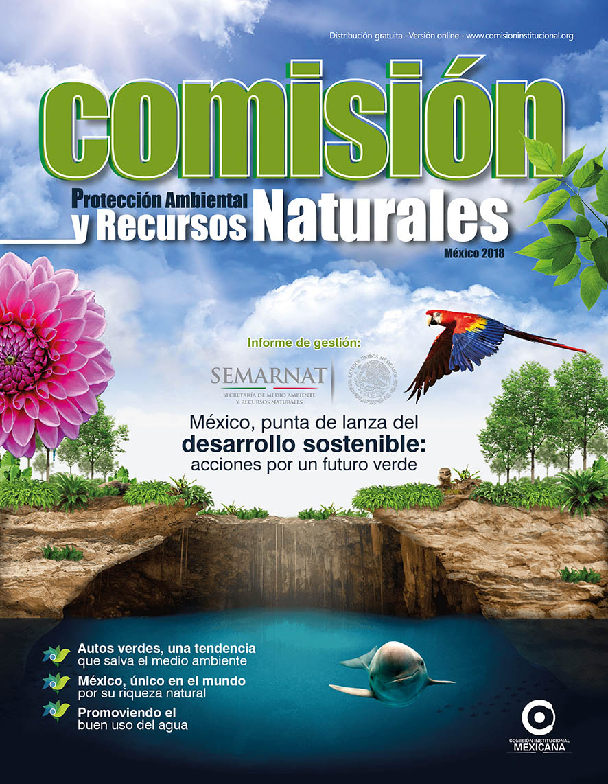 Ediciones Revista Institucional Comisión - Comisión Institucional ...